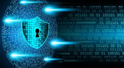 The Role of the Information Systems Security Officer (ISSO)